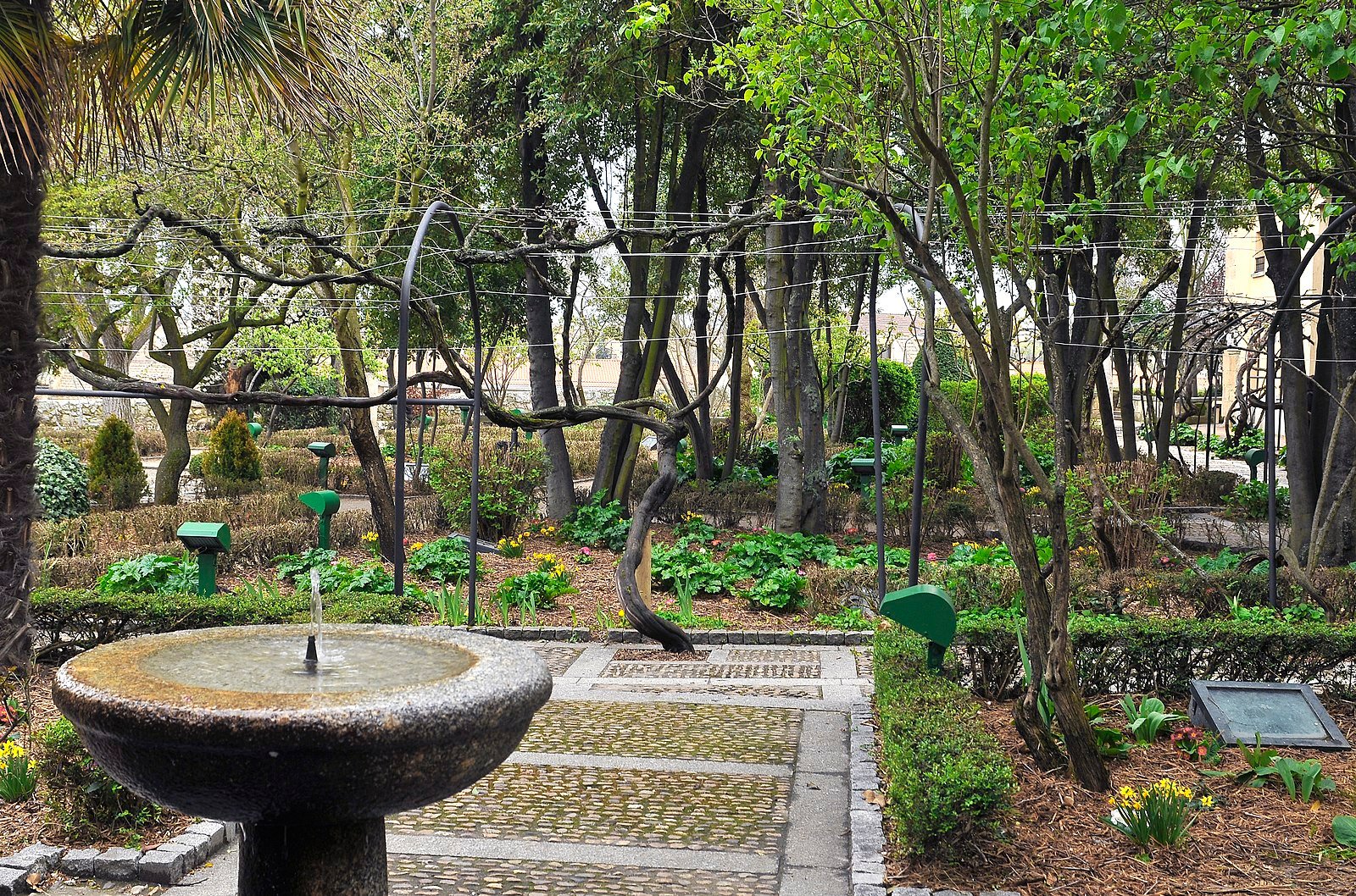 El Huerto de Calixto y melibea de salamanca - El Mariquelo